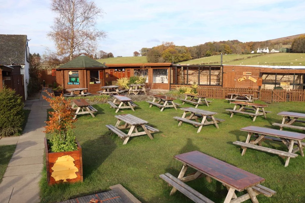 @ the Beech – The Beech Tree