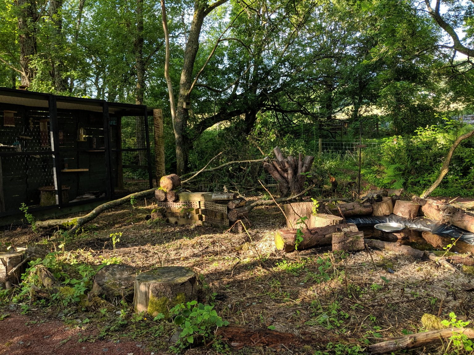 The Beech Tree – Family dining in the Stirlingshire countryside